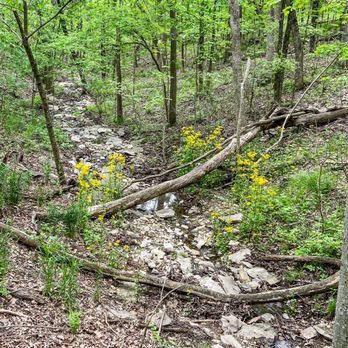 POWDER VALLEY CONSERVATION NATURE CENTER - Updated December 2025 - 252 ...