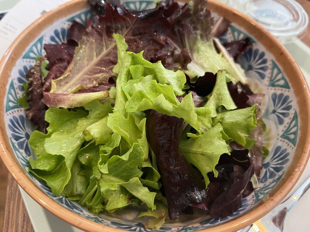 DAMÒ PASTA LAB - Updated October 2025 - 15 Photos & 11 Reviews - 100 S ...