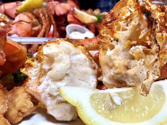 SAMMYS FISH BOX - 1411 Photos & 902 Reviews - Seafood - 41 City Island ...