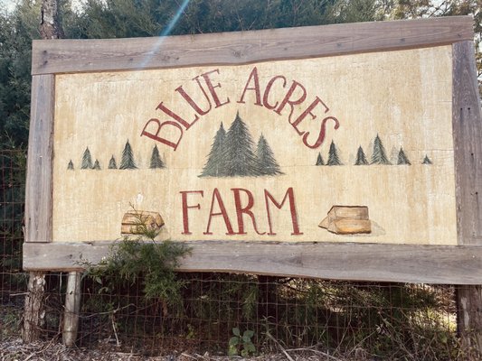 BLUE ACRES FARM - Updated January 2025 - 20638 Moreland Dr, Spring Hill ...