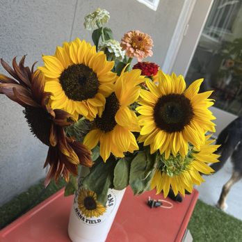 HANA FIELD BY TANAKA FARMS - Updated October 2025 - 505 Photos & 231 ...