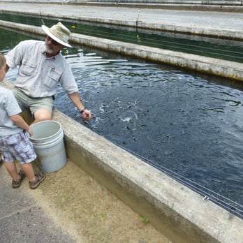 BUFORD TROUT HATCHERY - Updated October 2025 - 94 Photos & 12 Reviews ...