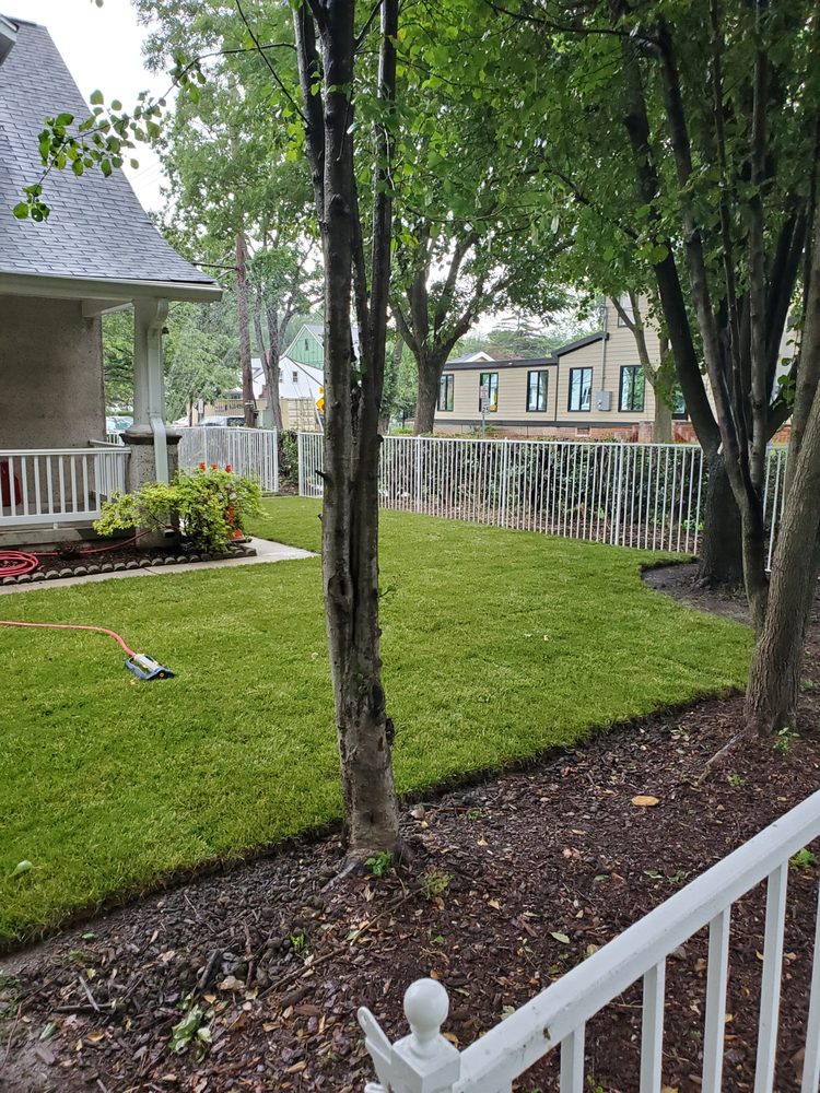RODGERS NEIGHBORHOOD LANDSCAPING - Updated June 2025 - 35 Photos ...