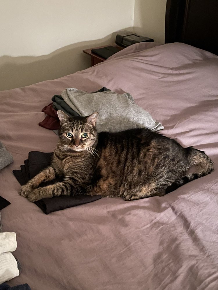 UNITY ANIMAL HOSPITAL - Updated December 2025 - 20 Photos & 14 Reviews ...