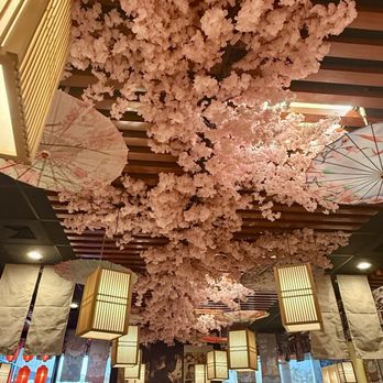 OKINAWA RAMEN & HIBACHI - Updated January 2026 - 115 Photos & 51 ...