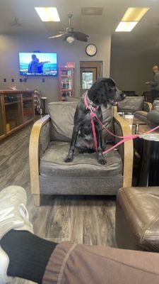 SQUIRE CIGARS - Updated August 2024 - 40 Photos & 63 Reviews - 1305 ...