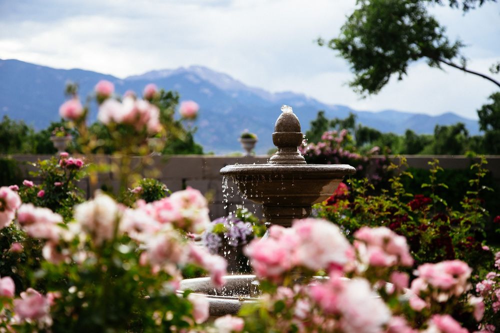 HILLSIDE GARDENS - 80 Photos & 28 Reviews - 1006 S Institute St ...