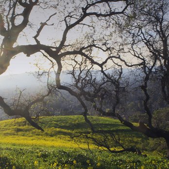 LIME RIDGE OPEN SPACE - CONCORD - Updated January 2026 - 306 Photos ...