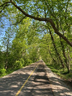MONON GREENWAY / TRAIL - CARMEL - Updated May 2025 - 76 Photos & 29 ...