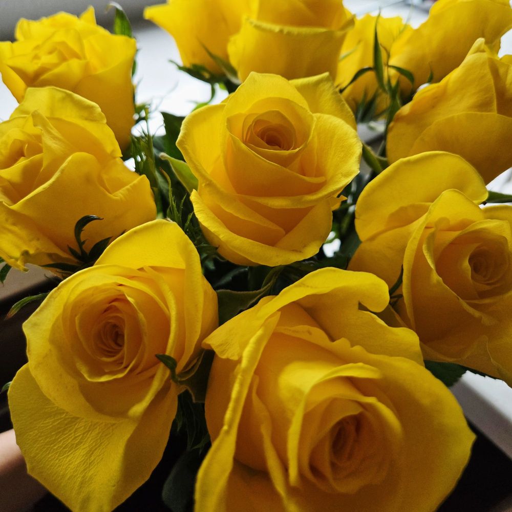 QFC - Updated December 2025 - 29 Reviews - 990 E Washington St, Sequim ...