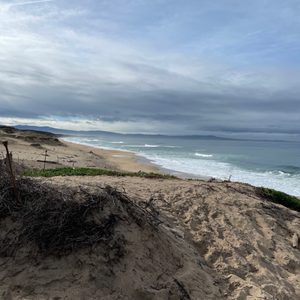 MARINA STATE BEACH - 431 Photos & 84 Reviews - 3001 Lake Dr, Marina ...