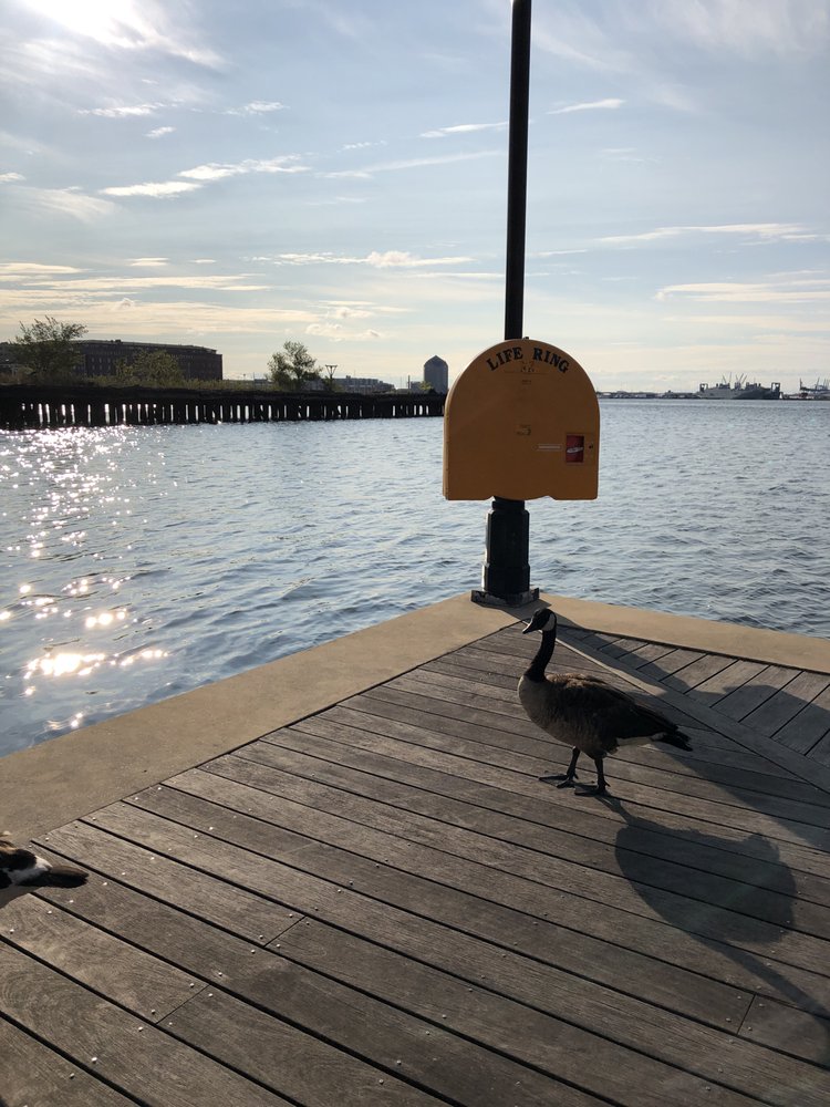 1305 DOCK STREET APARTMENTS - Updated July 2025 - 10 Photos - 1305 Dock ...