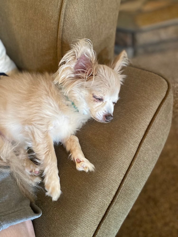 BROADWAY VETERINARY HOSPITAL - Updated November 2025 - 62 Photos & 81 ...