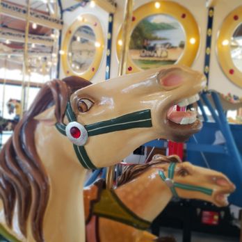 BUFFALO HERITAGE CAROUSEL - Updated March 2025 - 46 Photos - 44 Prime ...