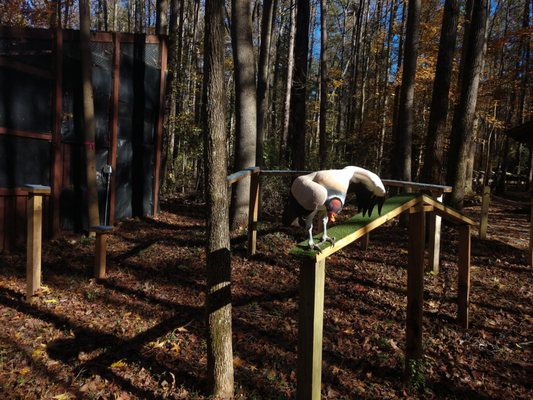 CAROLINA RAPTOR CENTER - 123 Photos & 67 Reviews - 6000 Sample Rd ...