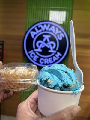 ALWAYS ICE CREAM - Updated January 2026 - 100 Photos & 39 Reviews - 8 ...