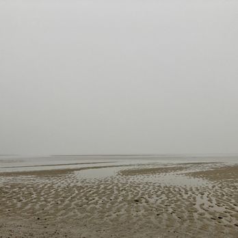 CHAPIN MEMORIAL BEACH - Updated September 2025 - 89 Photos & 33 Reviews ...