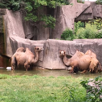 MILWAUKEE COUNTY ZOO - Updated October 2025 - 939 Photos & 297 Reviews ...