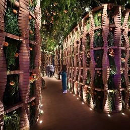 MIJO MODERN MEXICAN RESTAURANT - Updated January 2026 - 2223 Photos ...