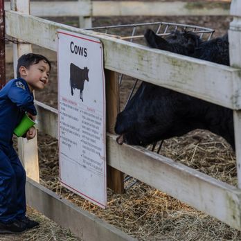 FLAMIG FARM - Updated November 2025 - 393 Photos & 73 Reviews - 7 ...