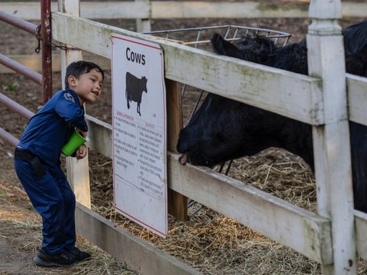 FLAMIG FARM - Updated November 2025 - 393 Photos & 73 Reviews - 7 ...