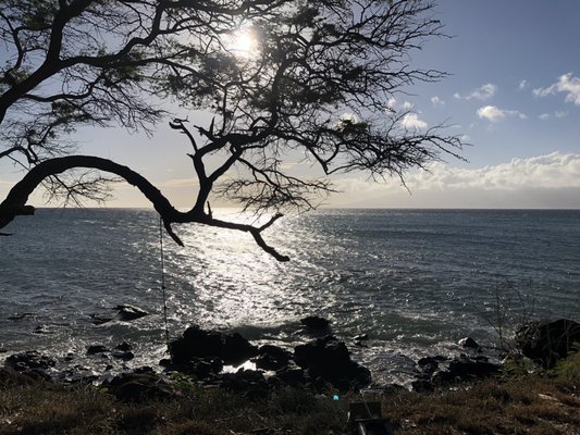 POHAKU PARK S-TURNS 【51 Photos & 14 Reviews】 Lower Honopiilani Rd, Maui ...