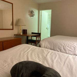 94 CABS - Updated December 2025 - Lethbridge, Alberta - Taxis - Phone ...