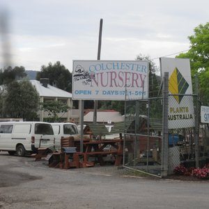 GARDENWORLD NURSERY - Updated September 2025 - Springvale Rd ...