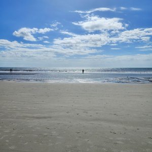 COLIGNY BEACH PARK - 354 Photos & 124 Reviews - 1 N Forest Beach Dr ...