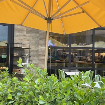 TRUE FOOD KITCHEN - 1092 Photos & 637 Reviews - 6000 Glades Rd, Boca ...