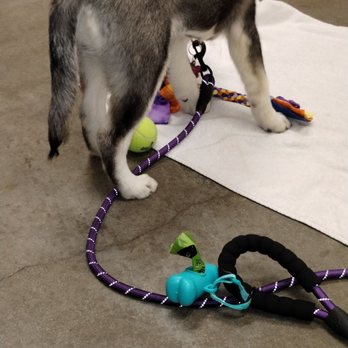 SEATTLE HUMANE - Updated December 2025 - 134 Photos & 222 Reviews ...