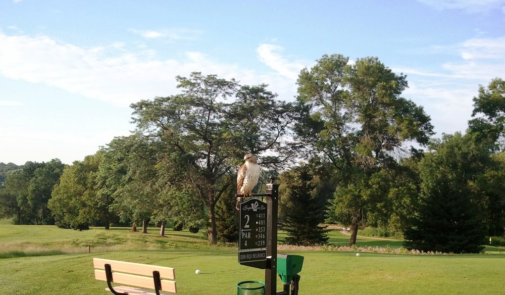 BARABOO COUNTRY CLUB - Updated October 2025 - 13 Photos - 401 Mine Rd ...