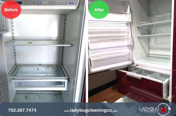 LADYBUG CLEANING - Updated August 2025 - 188 Photos & 183 Reviews ...