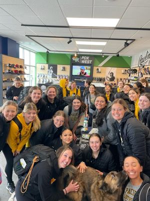 D-BAT PDX WEST - 57 Photos - 11131 SW Greenburg Rd, Tigard, Oregon ...