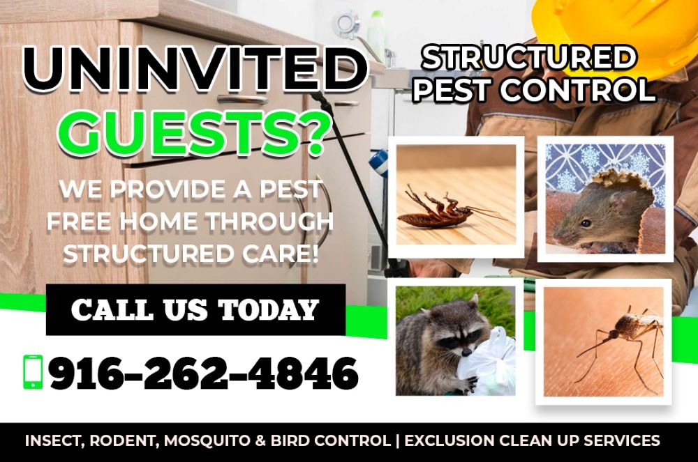STRUCTURED PEST CONTROL - Updated October 2025 - 15 Photos & 38 Reviews ...