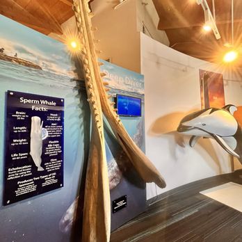 POINT VICENTE INTERPRETIVE CENTER - Updated July 2024 - 1034 Photos & 204 Reviews - 31501 Palos ...
