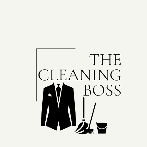 THE CLEANING BOSS - Updated January 2025 - Charlotte, North Carolina ...