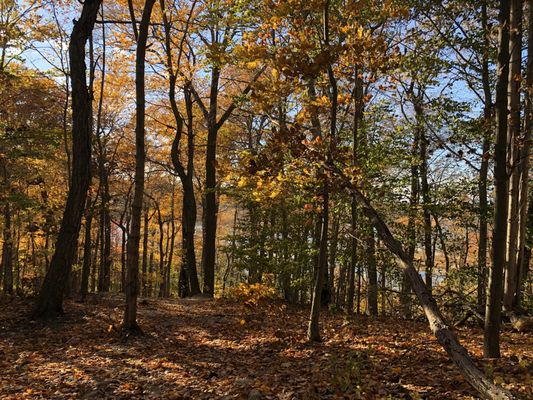 COLD SPRING HARBOR STATE PARK - 146 Photos & 51 Reviews - Hiking - 83 ...