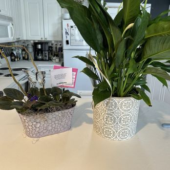 FLOWERAMA - Updated July 2025 - 45 Photos & 76 Reviews - 1600 Morse Rd ...