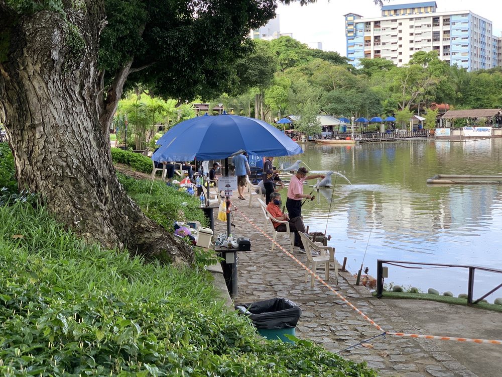 PASIR RIS TOWN PARK - 94 Pasir Ris Central, Singapore, Singapore ...