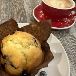 CAFÉ TOLIA - Updated December 2025 - 190 Photos & 98 Reviews - 26 N 3rd St, Philadelphia ...