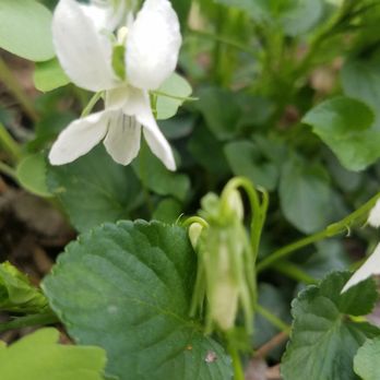 DUFF PARK - Updated October 2025 - 45 Photos & 11 Reviews - 4500 School ...