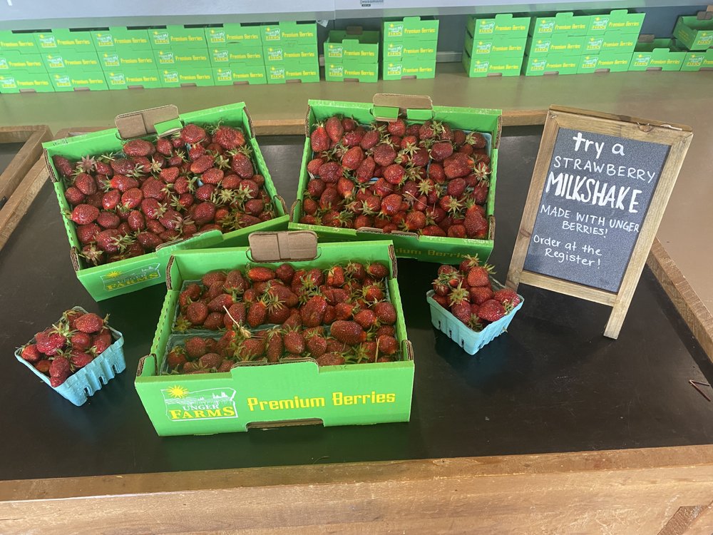 UNGER FARMS - Updated December 2025 - 86 Photos & 22 Reviews - 34180 SW ...