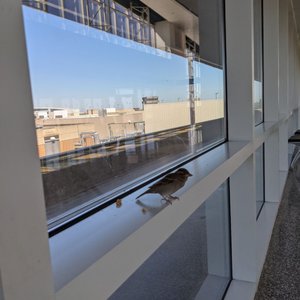 HALF PRICE BOOKS - Updated February 2025 - 24 Photos & 48 Reviews - 713 ...