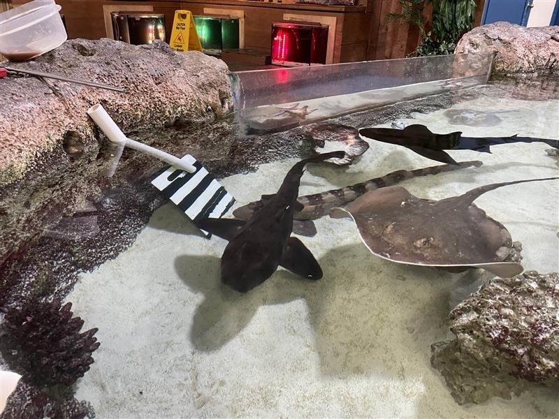 LAYTON AQUARIUM & WILDLIFE - Updated December 2025 - 17 Photos - 1201 N ...