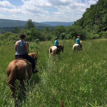 RT. 80 QUARRY RIDGE STABLES - Updated October 2025 - 28 Photos & 11 ...