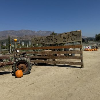 PRANCERS FARM - Updated December 2025 - 173 Photos & 51 Reviews - 18540 ...