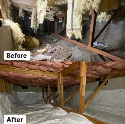 NORTHWEST CRAWL SPACE SERVICES - Updated November 2025 - 27 Photos & 14 ...