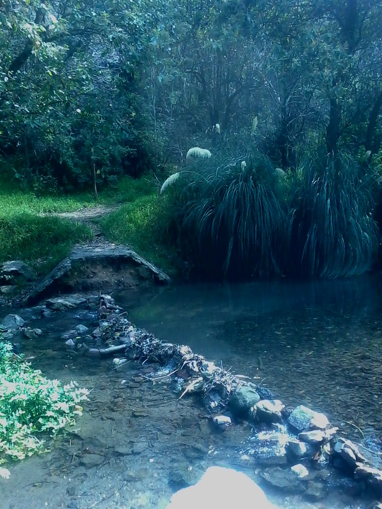 PARQUE NACIONAL FUENTES BROTANTES - Updated September 2024 - 17 Photos ...