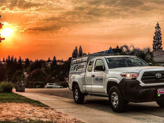 ECOGUARD - Updated October 2025 - 105 Photos - 920 Reviews - 808 ...